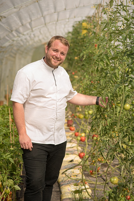 Natural selection - Will Devlin